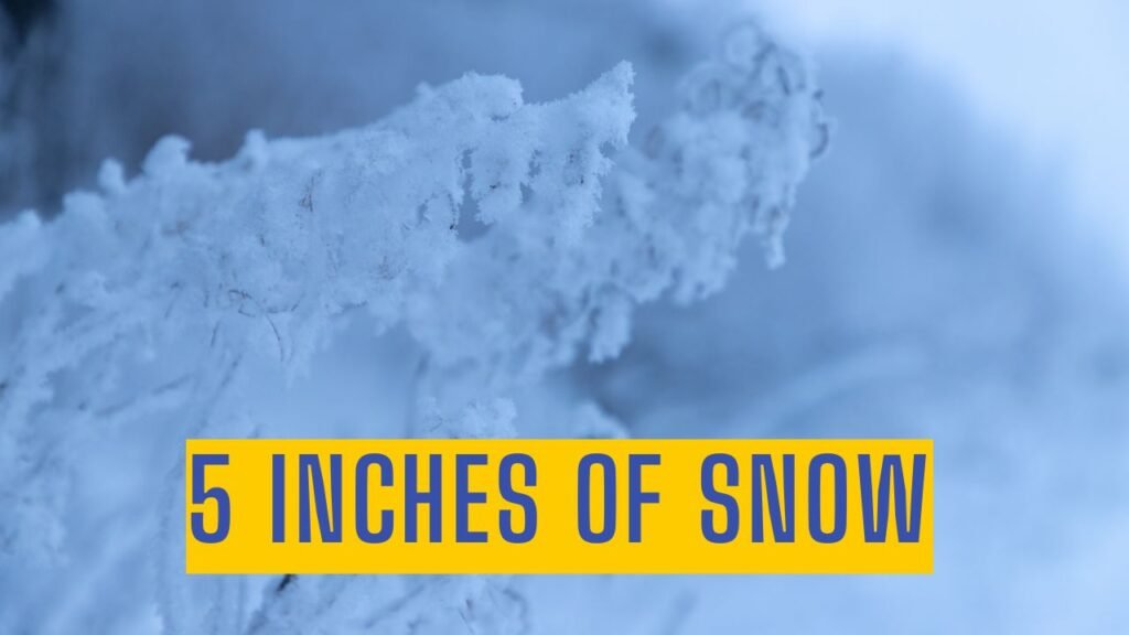 Lower Hudson Valley Set for Up to 5 Inches of Snow Early Tuesday as ...