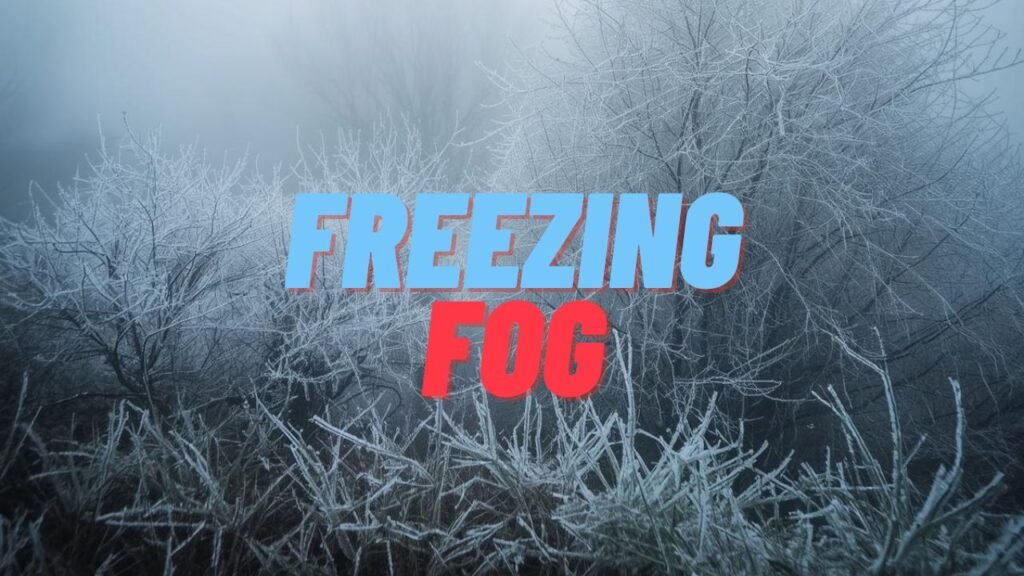 Freezing Fog Blankets Oklahoma and North Texas as Drivers Face ...