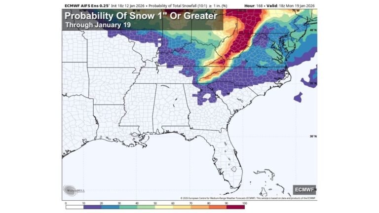 Alabama, Georgia, and the Carolinas Face Cold Air but Little Snow as ...